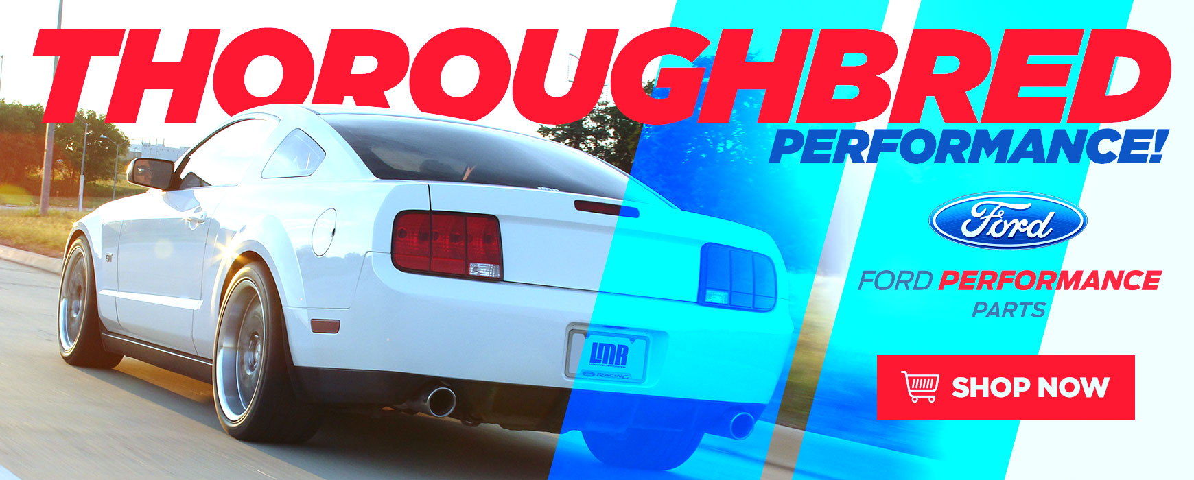 2005-2009 Mustang Parts at LMR